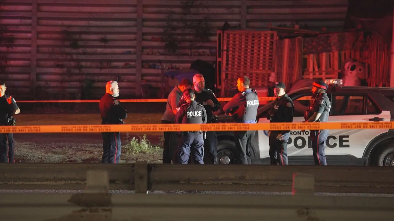 Man, 21, charged with armed carjacking after fall from Gardiner ...