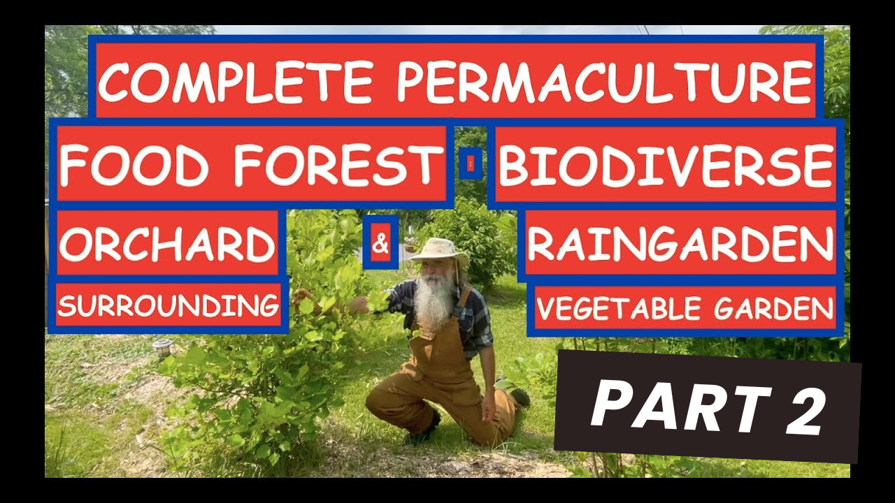 Permaculture Food Forest Design – Biodiverse Orchard & Raingarden ...