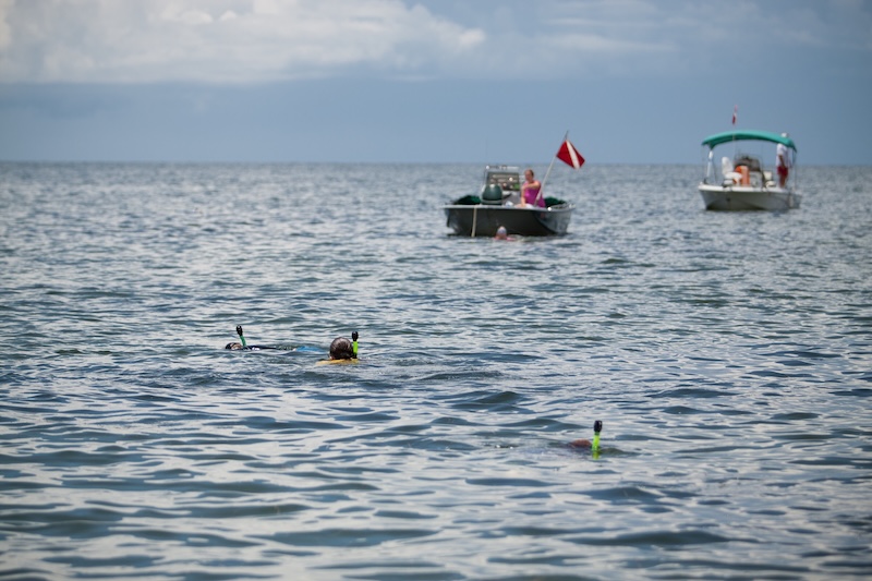 Scallop season opens in Florida; dive into this summer tradition with ...