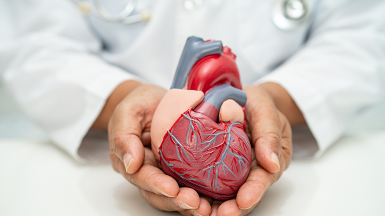 4 everyday habits that help prevent heart attacks