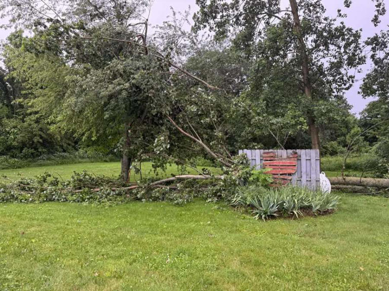 Photos, videos of June 18 storm damage