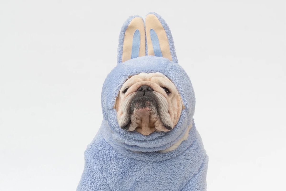 English Bulldogs' Priceless Labubu Costumes Are So Adorable and On-Trend