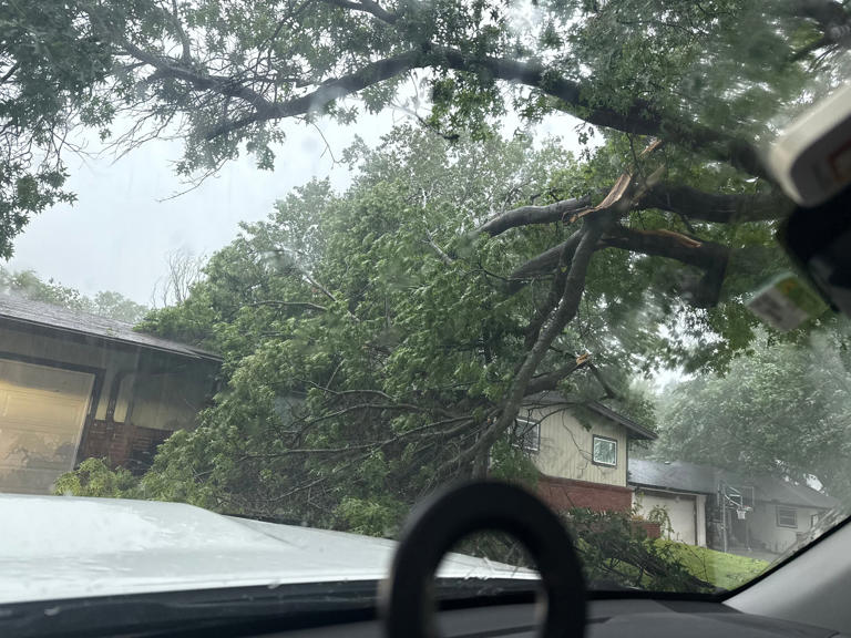 Tree debris removal continues across Wichita, no citywide pickup planned