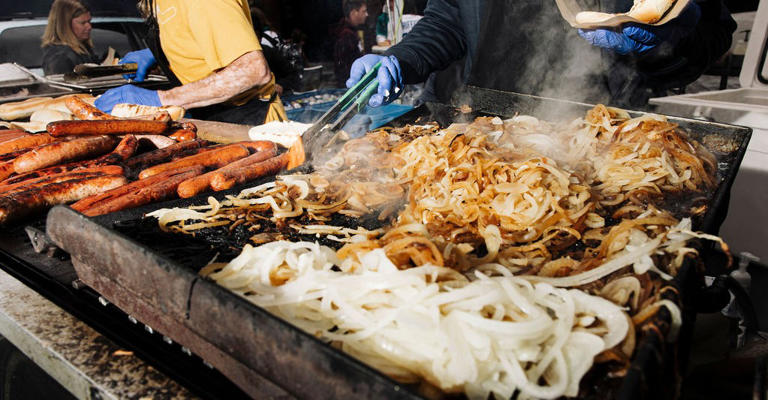 What Makes a Great Seattle Dog?