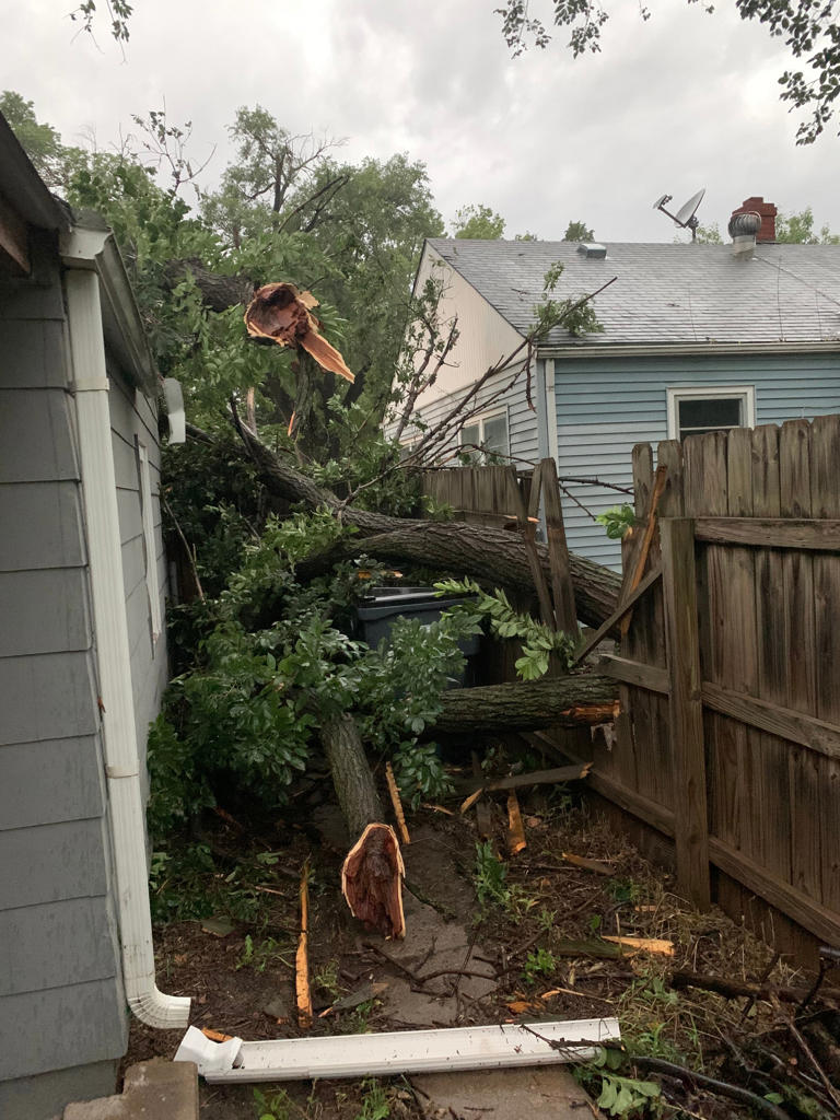 Tree debris removal continues across Wichita, no citywide pickup planned