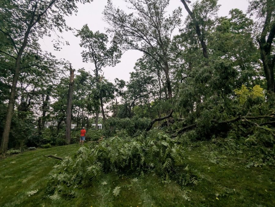 Photos, videos of June 18 storm damage