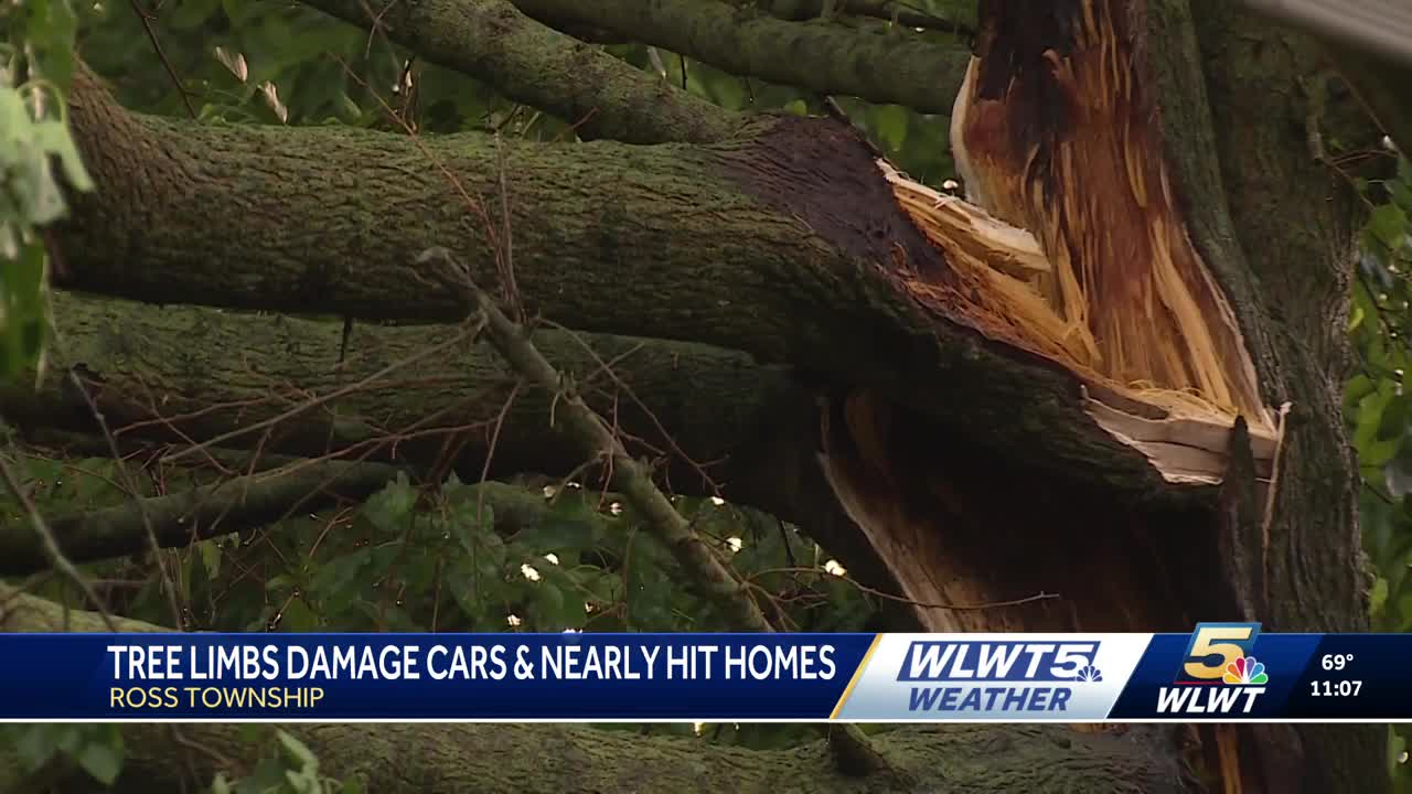 Strong storms topple trees, power lines throughout Greater Cincinnati