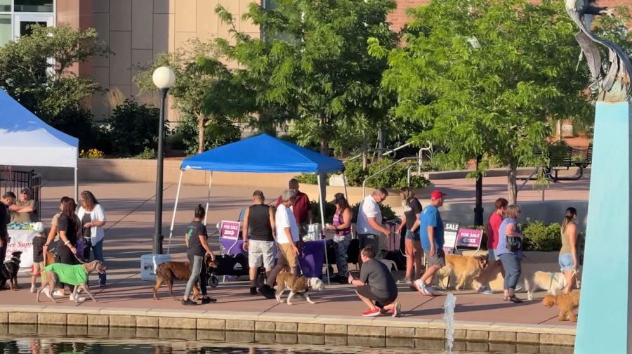 Community dog walk held at Pueblo Riverwalk
