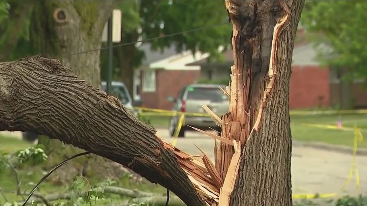 Metro Detroit experiences damage amid tornado, severe weather