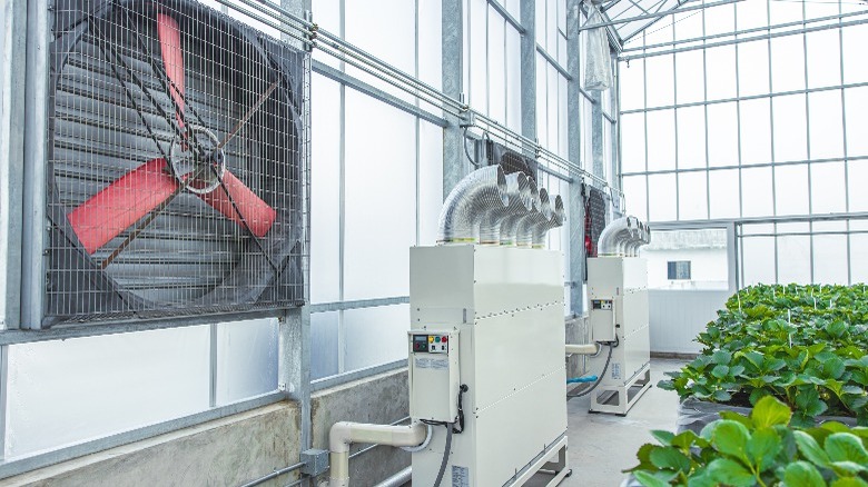 5 Things Solar Panels Can Power In Your Greenhouse