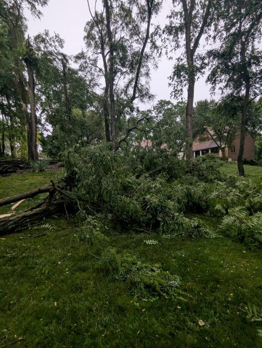 Photos, videos of June 18 storm damage