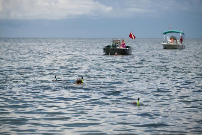 Scallop season opens in Florida; dive into this summer tradition with ...