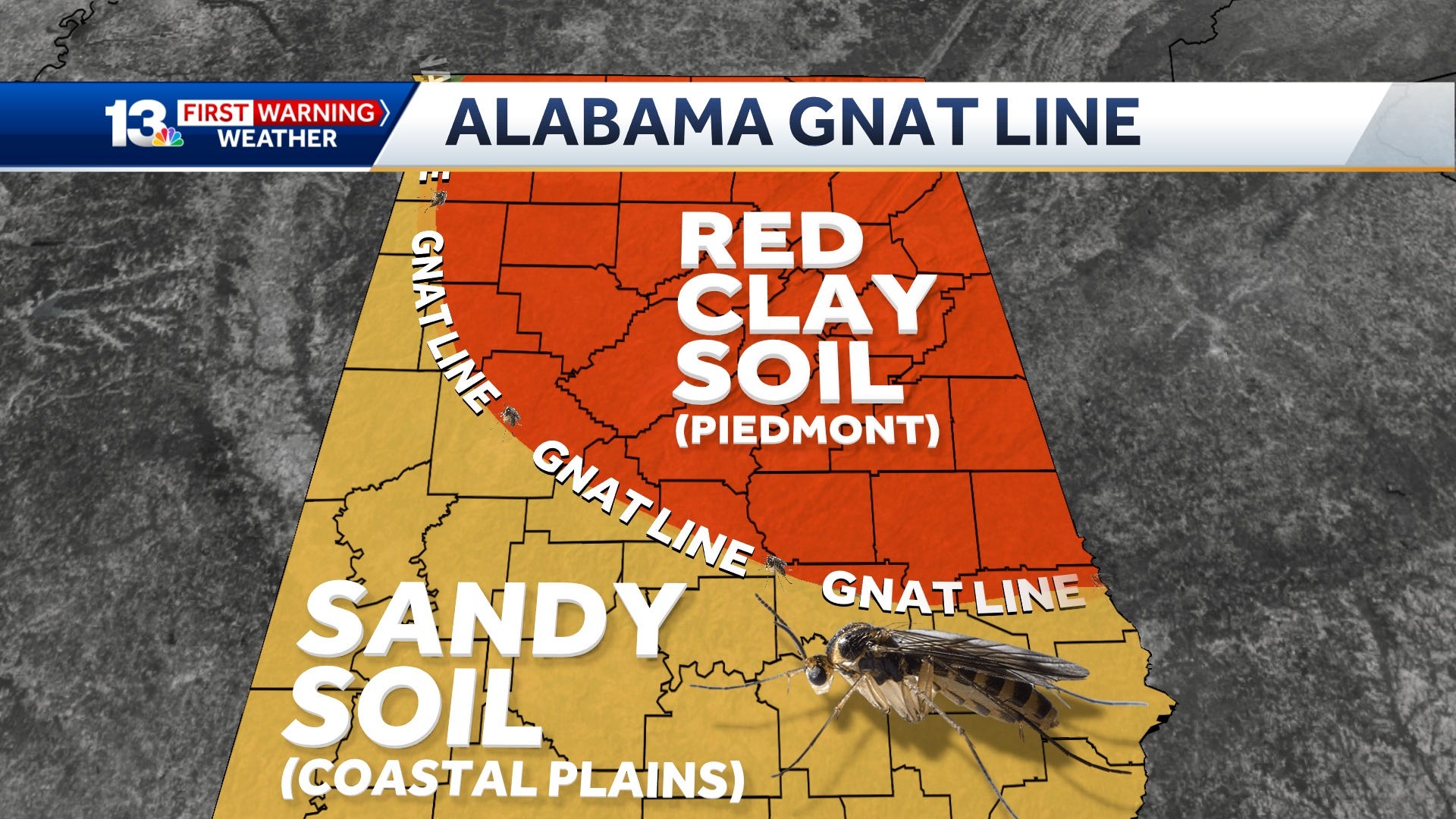 Alabama's Gnat Line: The Prehistoric Divide