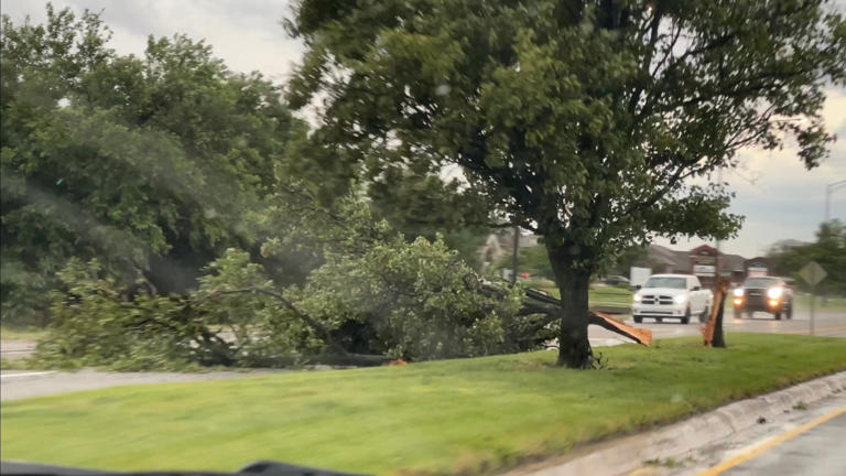 Tree debris removal continues across Wichita, no citywide pickup planned