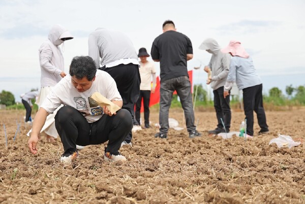 Monty by Jim Meddick