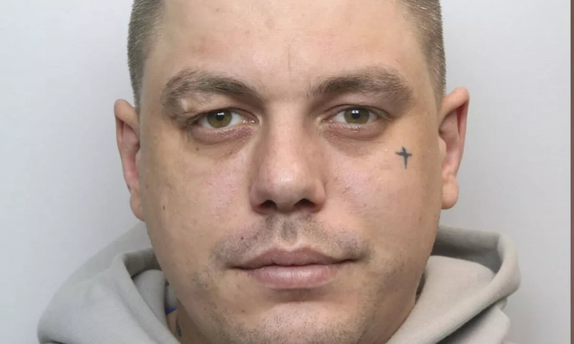 Drug mule, 31, who had £120k of cannabis in suitcases told airport ...