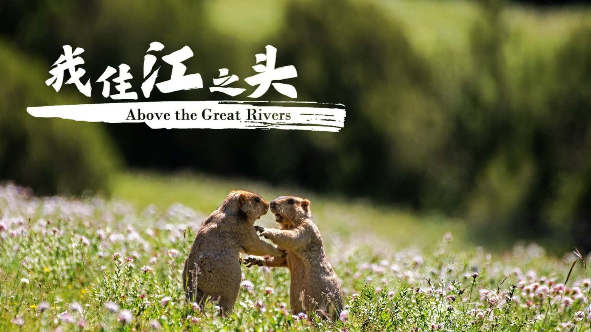 Where Mighty Rivers Begin Ep01_Life