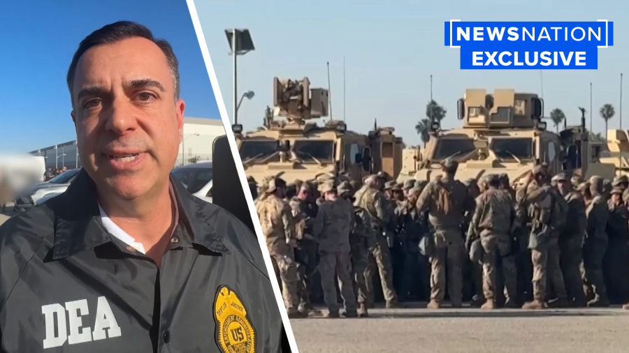 Hundreds of DEA agents, police, National Guard raid illegal CA pot farms