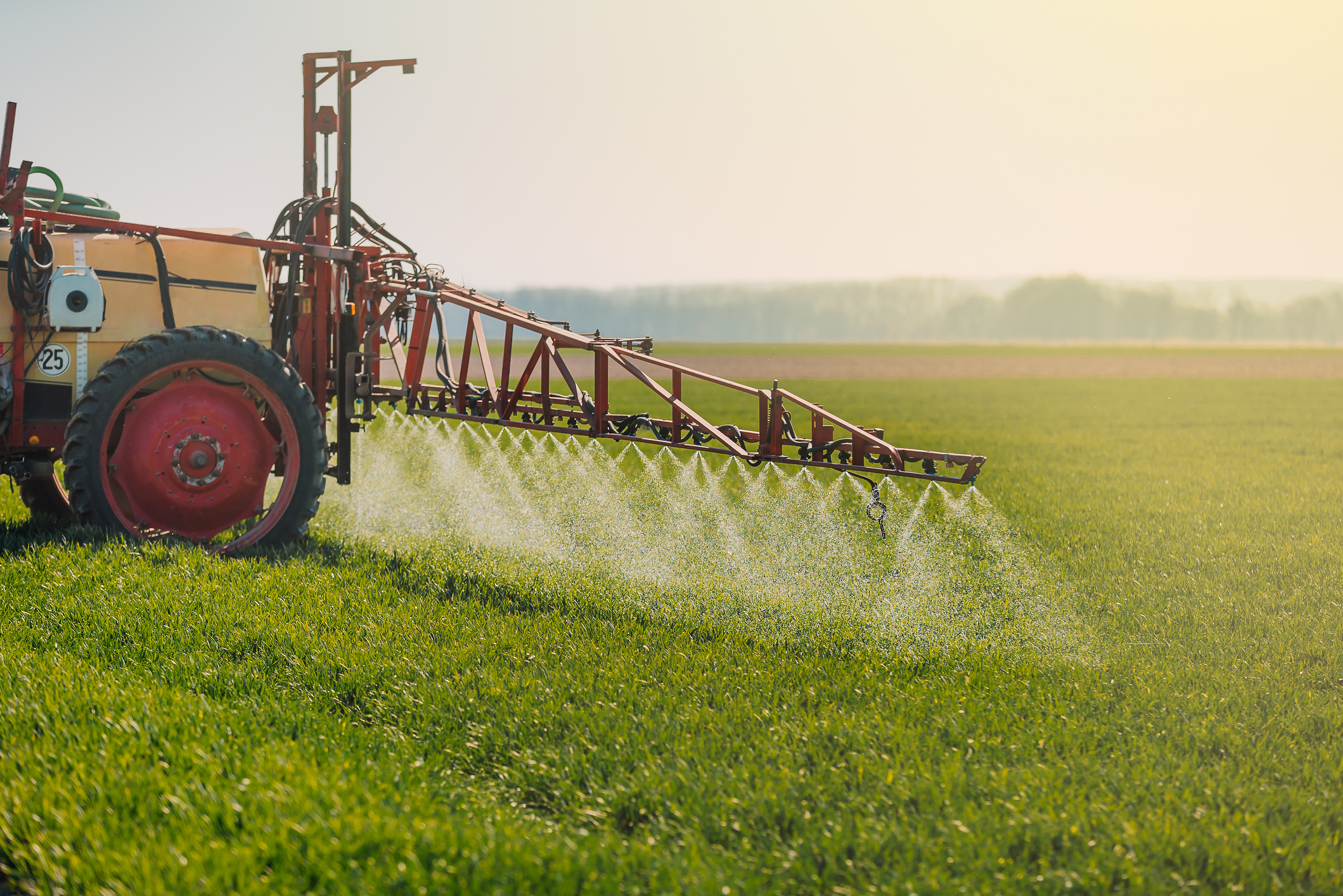 Are Pesticides in Your Food Harmful?