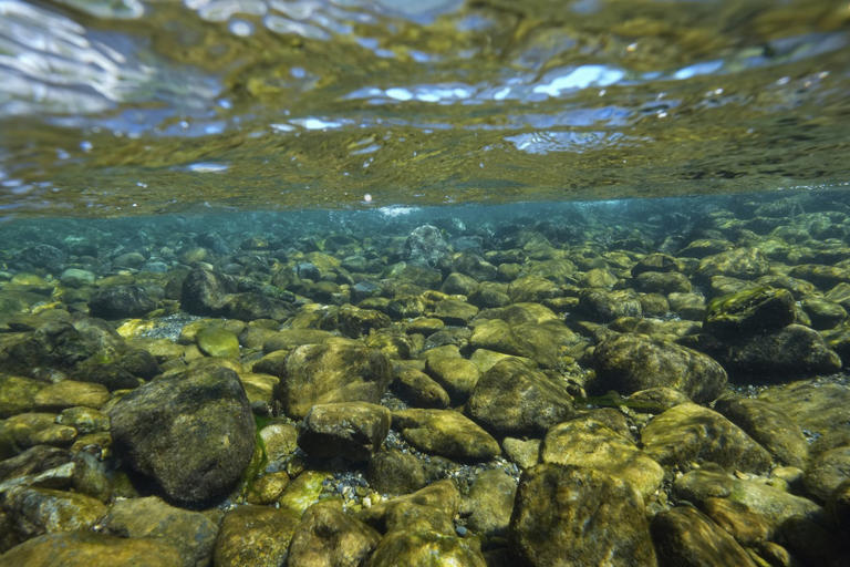 Mapped: Canada’s wildfires are impacting air quality in these US ...