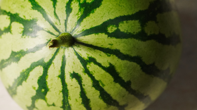 Why You Should Avoid Buying Shiny Watermelon At The Store