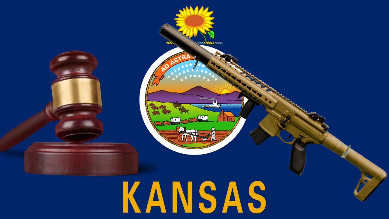 How Decades of Gun Control Created a Legal Trap – And One Judge Called ...