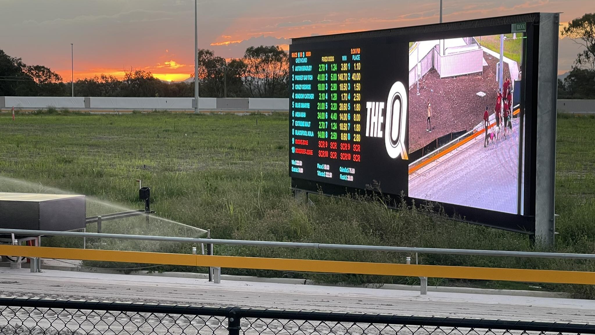 Greyhounds die from injuries at The Q greyhound racing track before ...