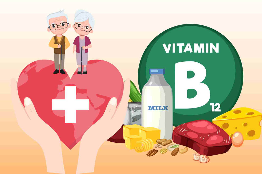Lý do vitamin B12 có lợi cho sức khỏe người cao tuổi