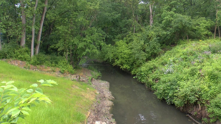 'Elevated levels' of E. coli confirmed in Toledo creek following sewage ...