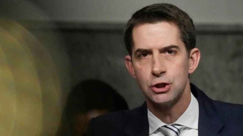 Arkansas Senator Tom Cotton seeks ban on foreign nationals in ...