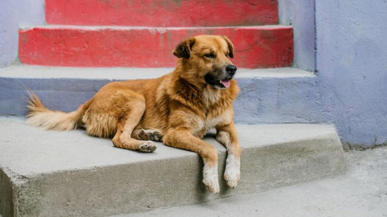 Roundtable Reactions: Ravens sign WR Rashod Bateman to three-year extension