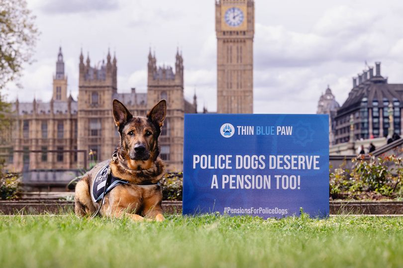 UK charity urges government to provide pensions for retired police dogs
