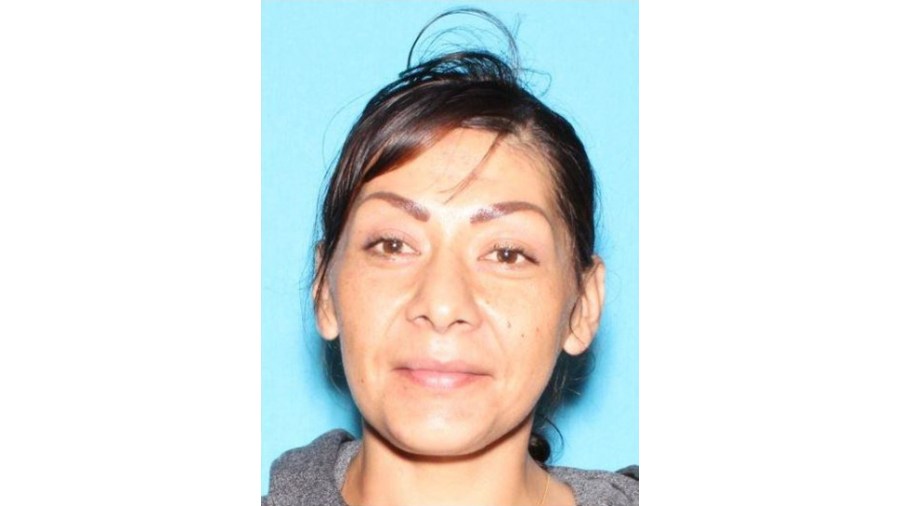 Feather Alert activated for missing woman last seen in Sonoma County