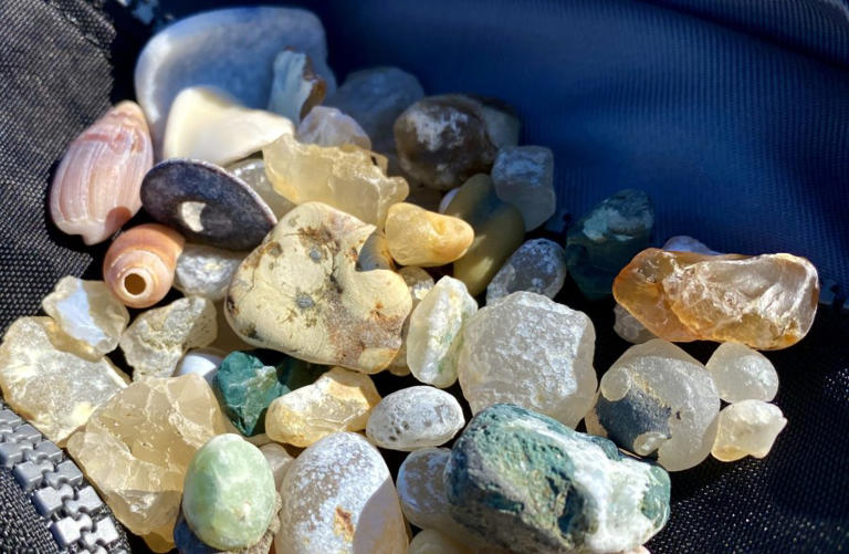 California State Parks doesn’t want you collecting sea glass or agates ...
