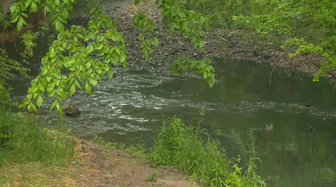 Sewer overflow leads to elevated levels of E. coli in Toledo creeks ...