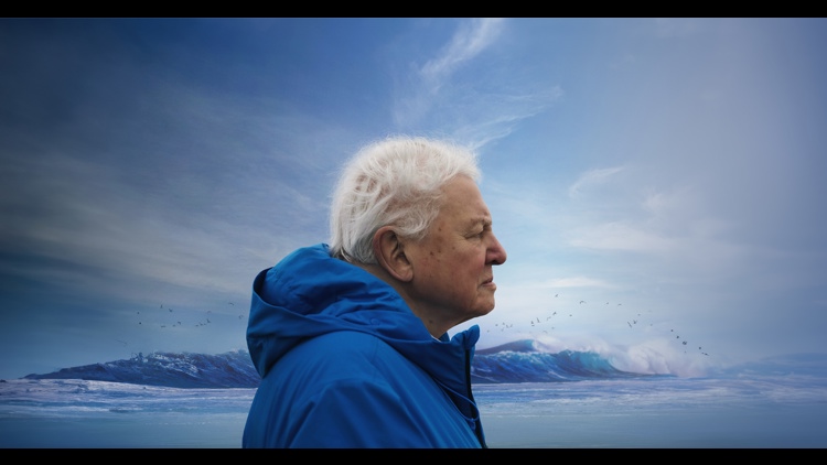 Nat Geo directors on "Ocean With David Attenborough" documentary
