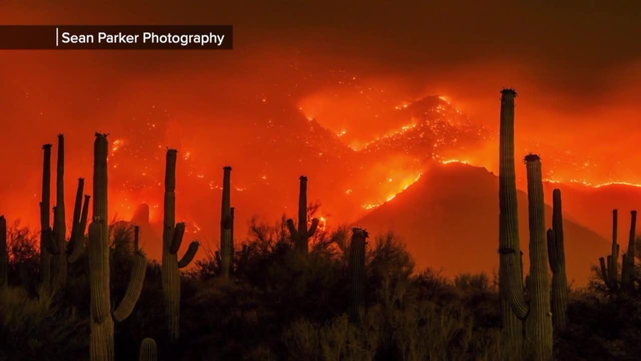 Bighorn Fire: Five years later