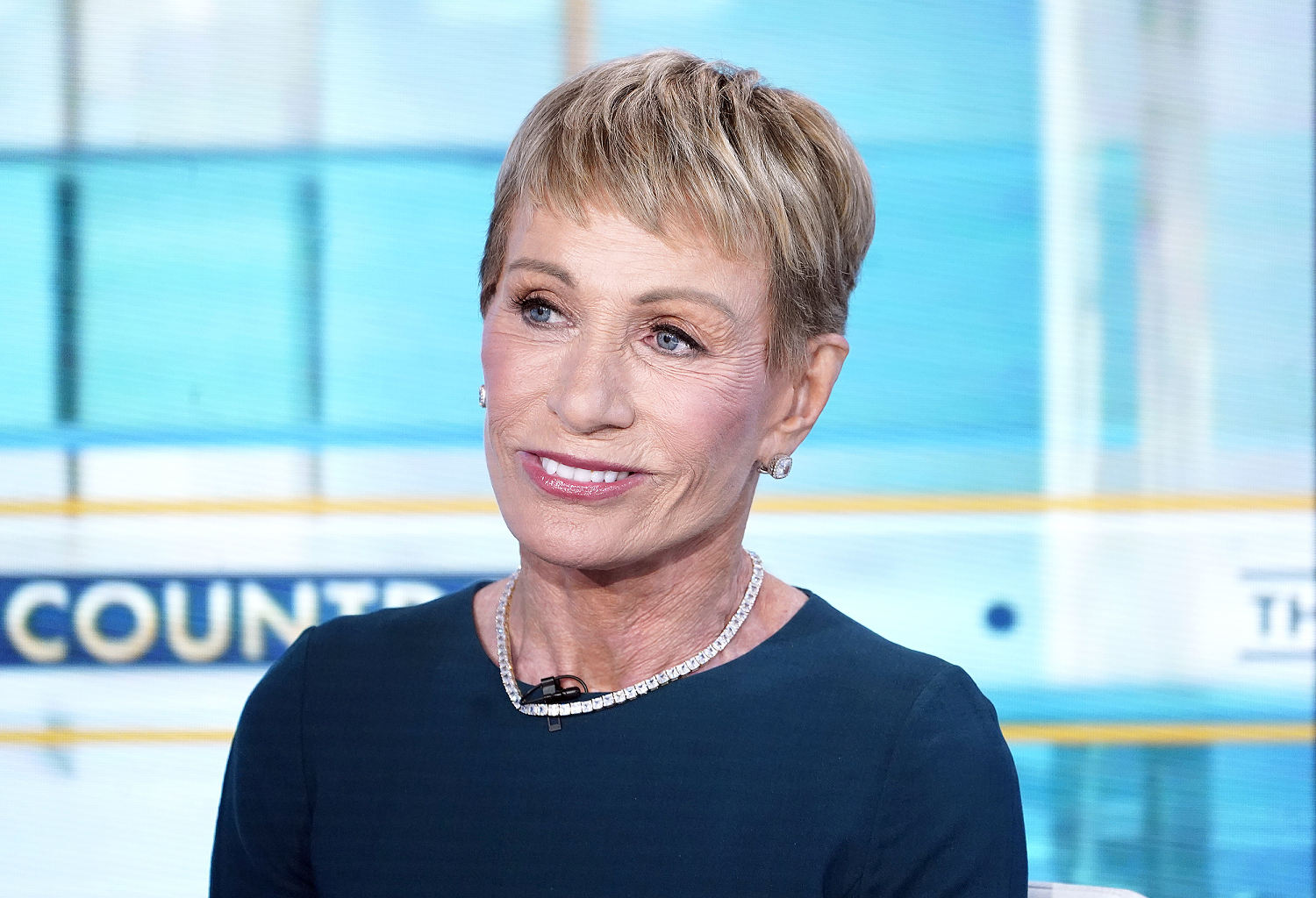 Barbara Corcoran Reveals All The Face Procedures She’s Had, Including ...