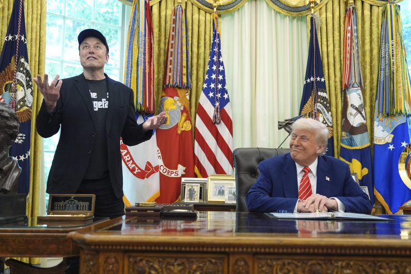 Musk says Trump would have lost election without him