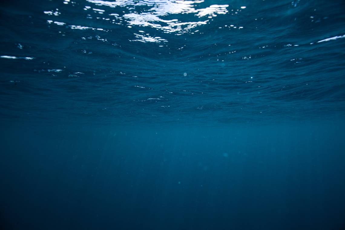 90-foot sea creature spotted off the coast of California. See ‘extra ...