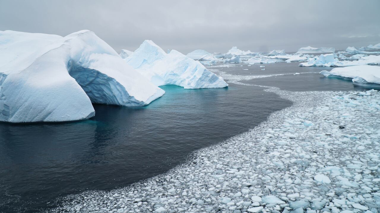 How to watch CBC's coverage of 1st all-Canadian Antarctic expedition
