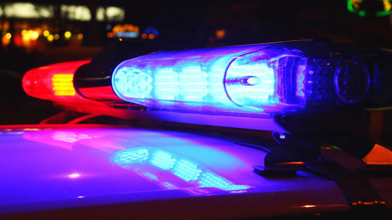 Death investigation underway in Saline County