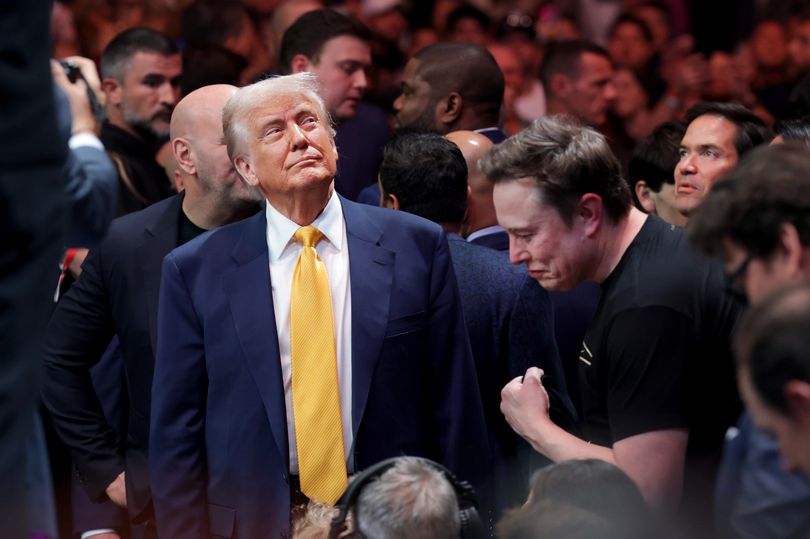 Trump is 'decaying' as Musk fallout spells president's political ...