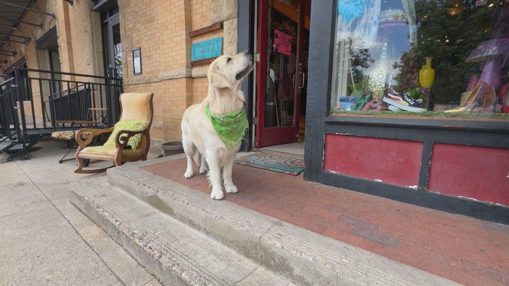 As Boulder returns to normal after Colorado terror attack, local shop ...