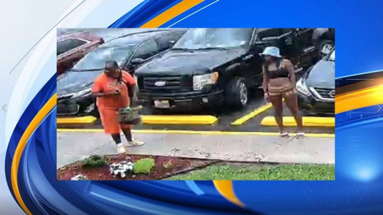 Police hunt suspects in St. Martin Parish robbery, assault