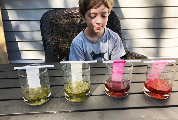 Fun & Messy Backyard Science Experiments for Kids This Summer
