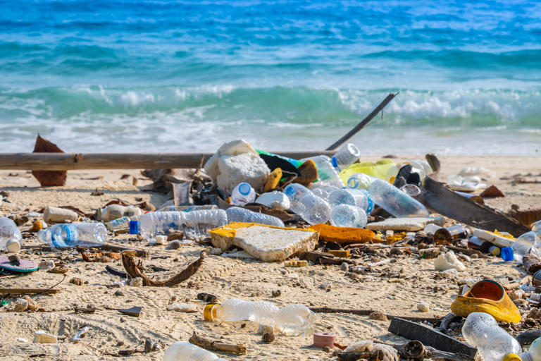 Día Mundial del Medio Ambiente: Repensar el plástico, recuperar el futuro