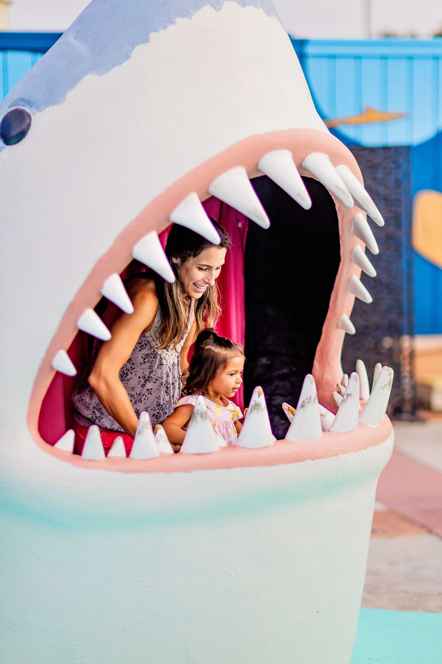 ‘Shark Summer’ returning to Birch Aquarium in La Jolla
