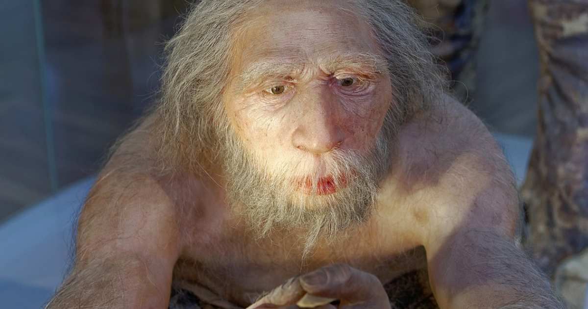 300,000-Year-Old Skull of ‘Maba’ Continues to Puzzle Scientists as It ...