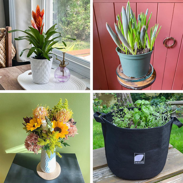 4 Best Gardening Subscription Boxes You’ll Love to Open, Tested by Editors